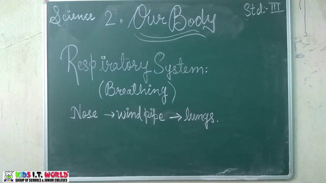 Chapter: 2 Our Body (Subject: Science 2) - YouTube