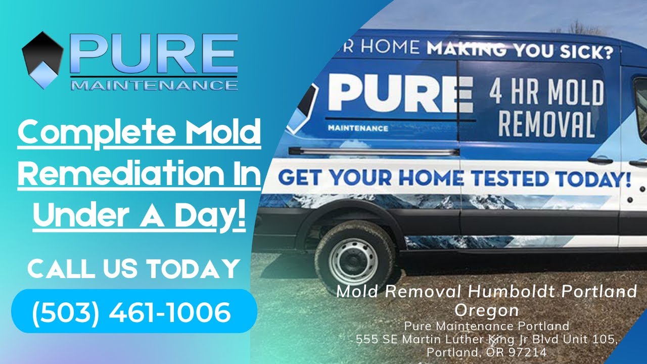 Mold Removal Humboldt Portland Oregon - Pure Maintenance Portland - 503 ...