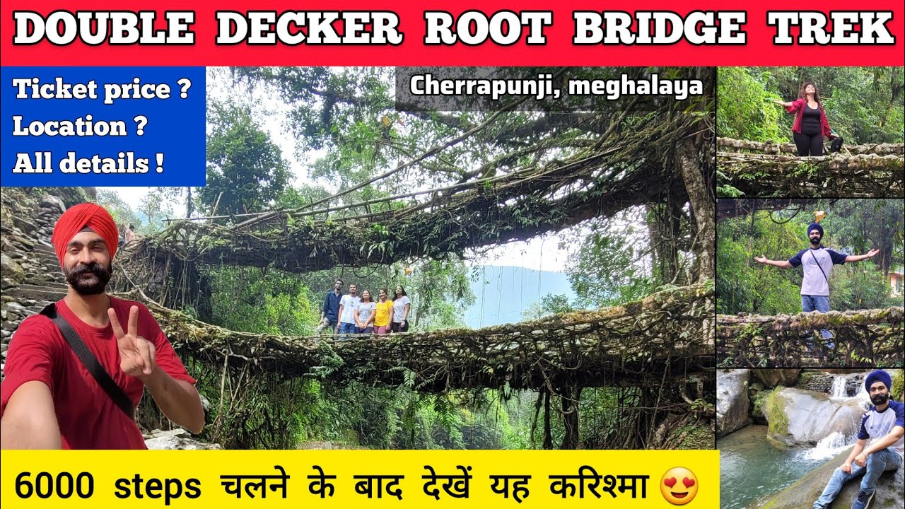 Double decker living root bridge cherrapunji full information Double ...