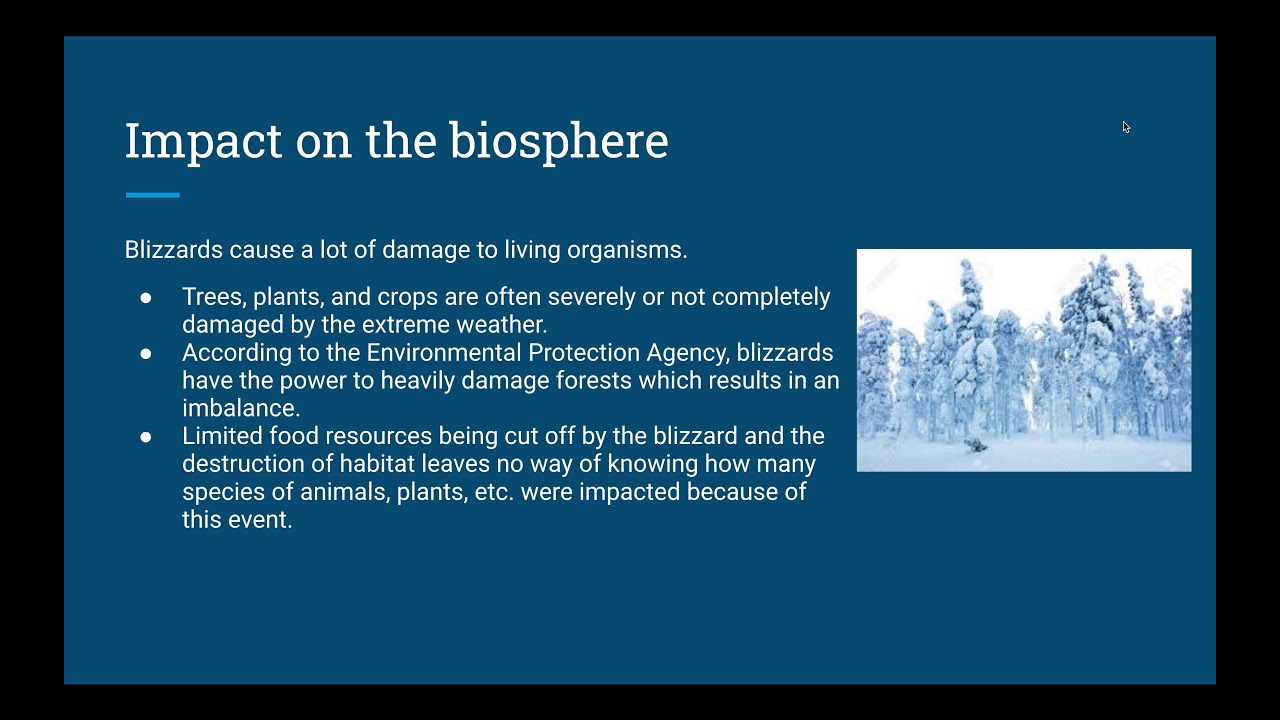 Iran Blizzard 1972 Part 2 - YouTube