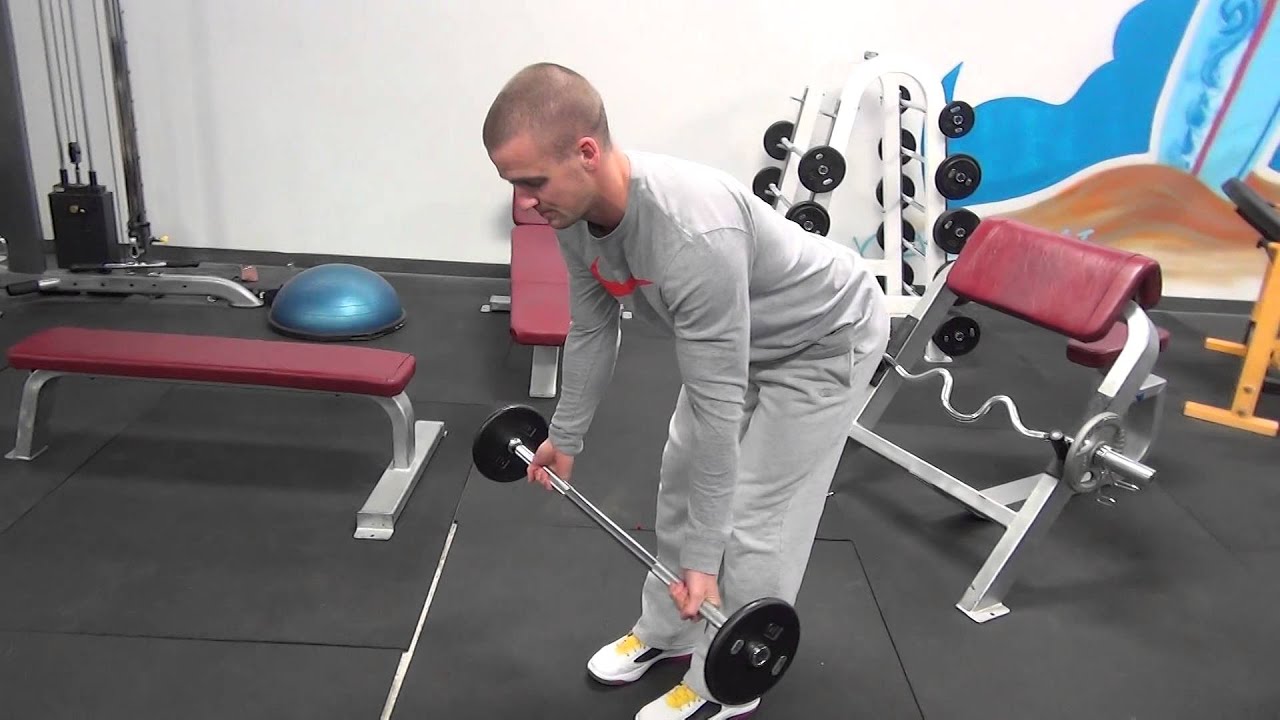 Straight Bar Underhand Bent Over Rows - YouTube
