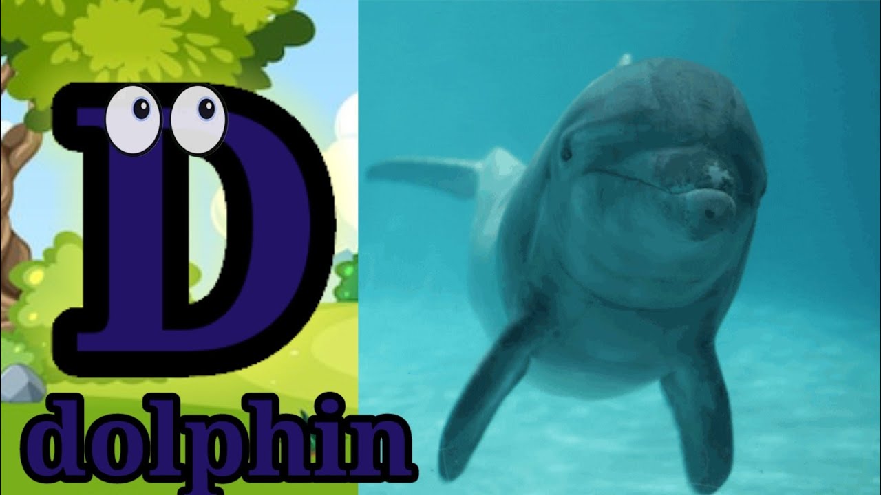 Alphabet with spelling ll Alphabet for kids - YouTube