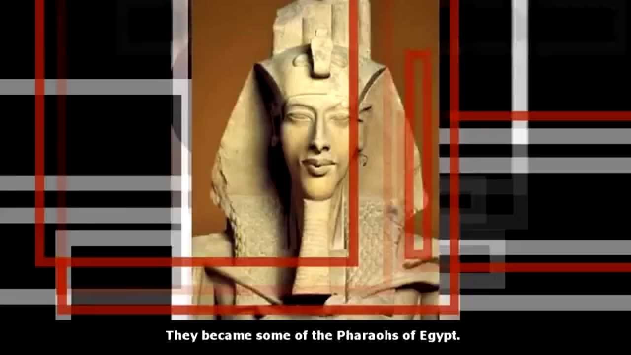 Alien Races - Over 82 Species On Earth - Part 3 of 3 - YouTube