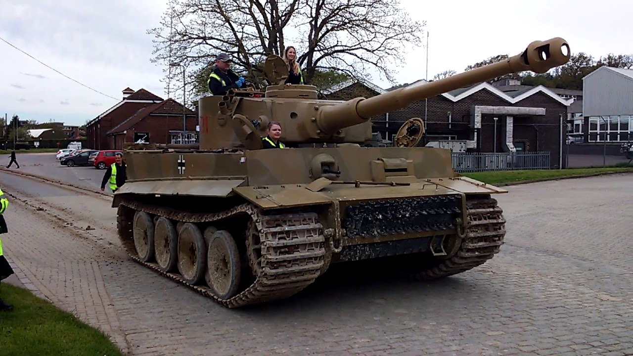 Tiger 131 on the prowl - YouTube