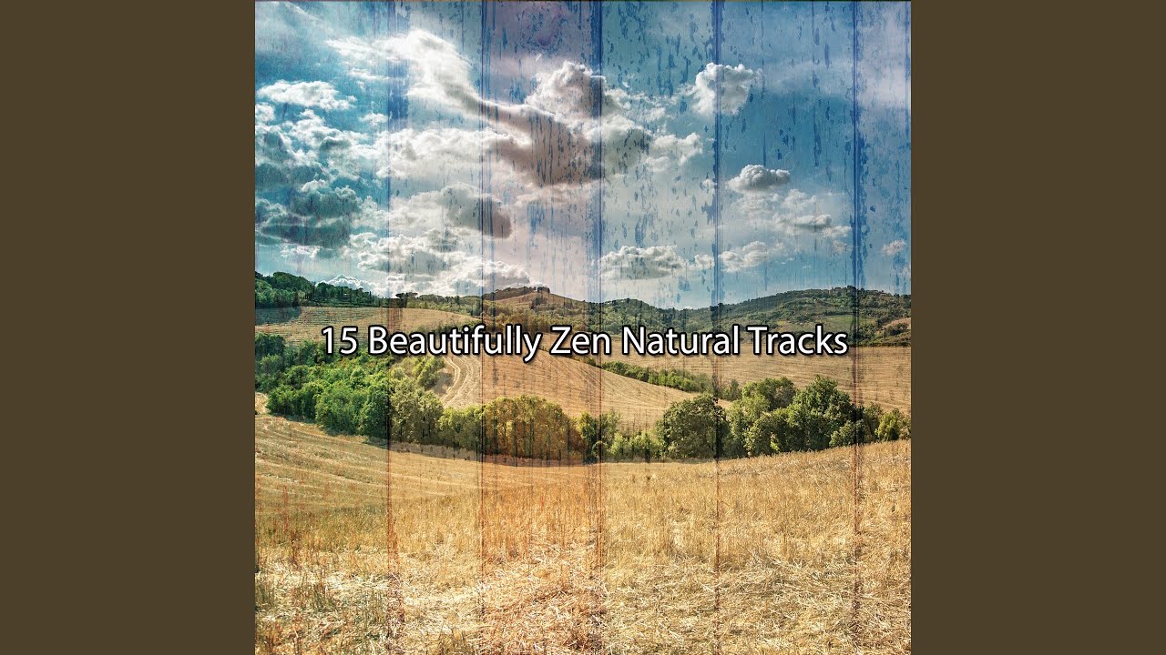 Birds And Breeze In Trees - YouTube