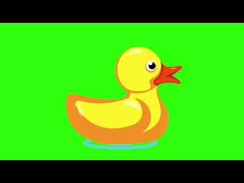 Duck animation green screen - YouTube