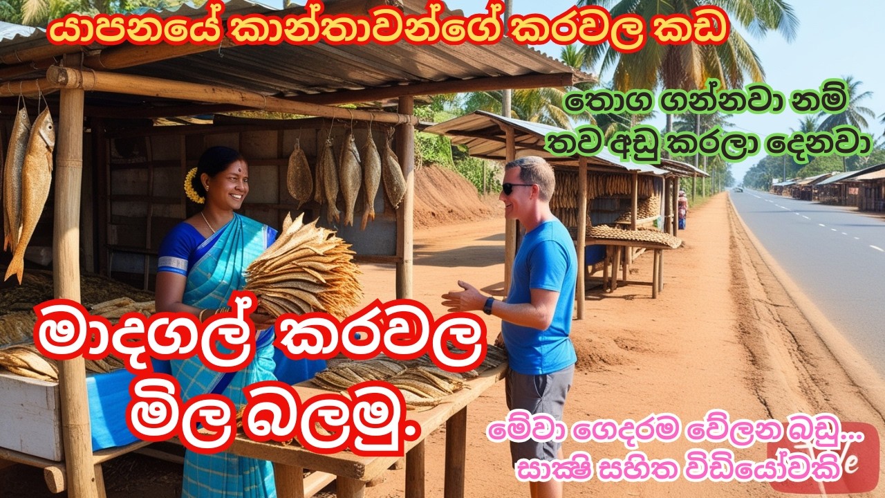 මාදගල් කරවල වර්ග සහ මිල ගණන් – යාපනයේ කාන්තාවන්ගේ ව්‍යාපාරයක සත්‍ය ...