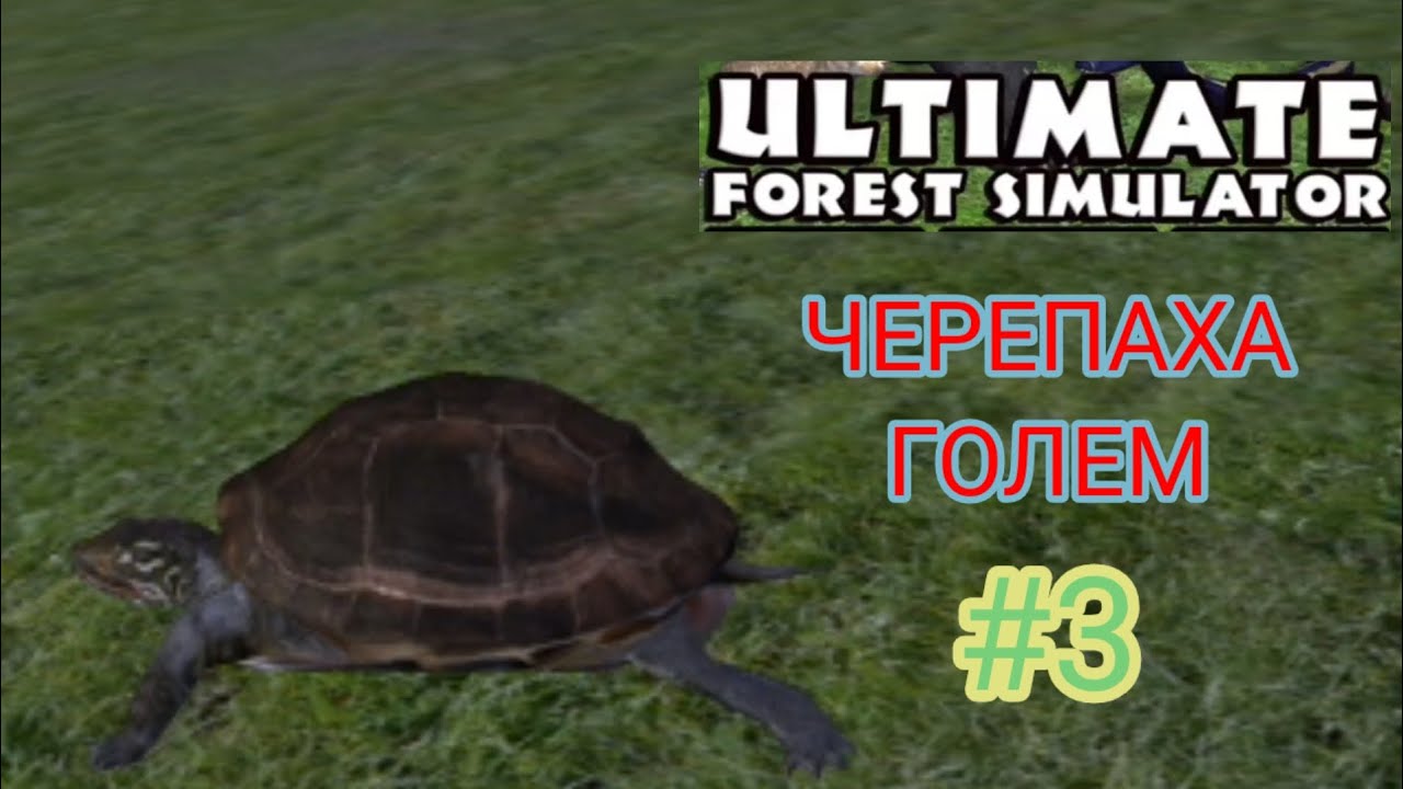 Ultimate Forest Simulator Черепаха Голем Эпизод 3 - YouTube