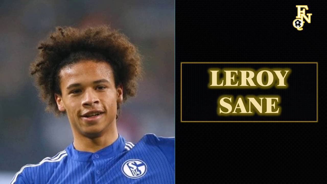 LEROY SANE | Statistics | Goals | Skills | Manchester City | 2016-17 ...
