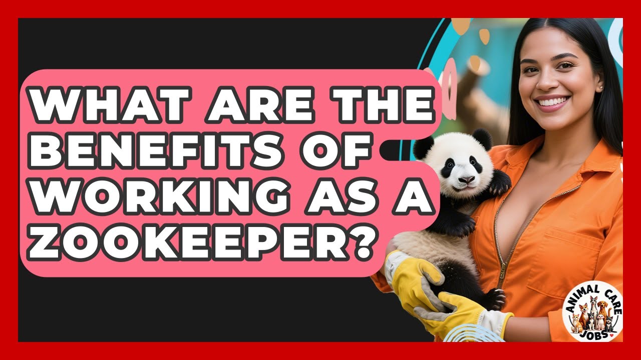 What Are the Benefits of Working as a Zookeeper? | Animal Care Jobs ...
