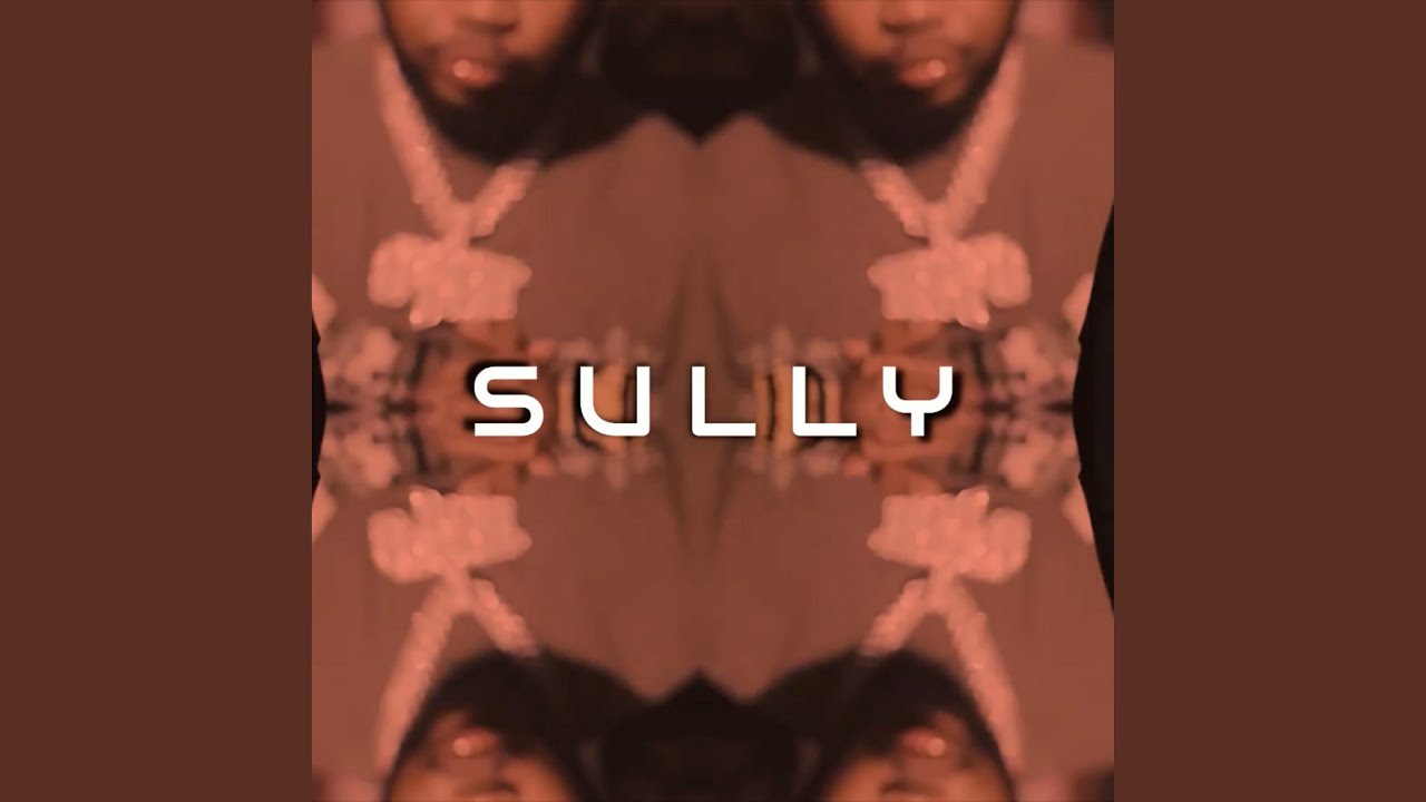 Sully - YouTube