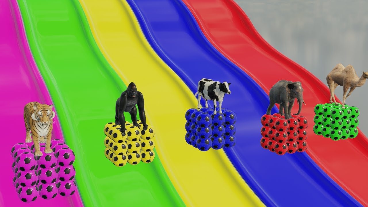 Long Slide Game With Elephant Gorilla Buffalo Hippopotamus Tiger - 3d ...
