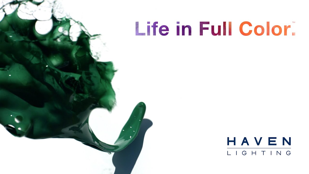 Life In Full Color - YouTube