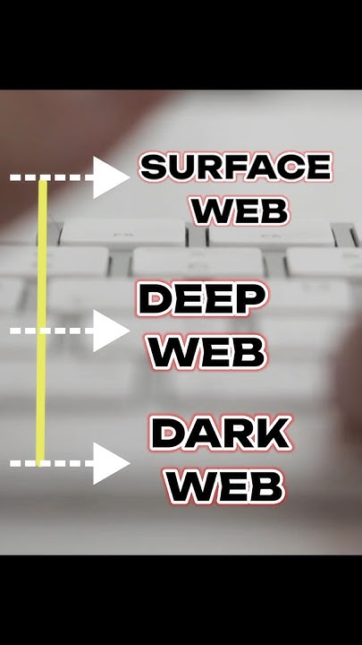 How Webs Are Classified 😱⚡ Coder Programming Computer Codetech Programminglanguage Ai
