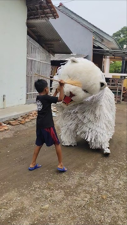 Bocill dimakan can macanan dipukul pake sapu - YouTube