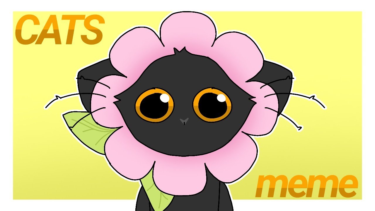 CATS | ANIMATION MEME | [ft. Jinx the Cat] - YouTube