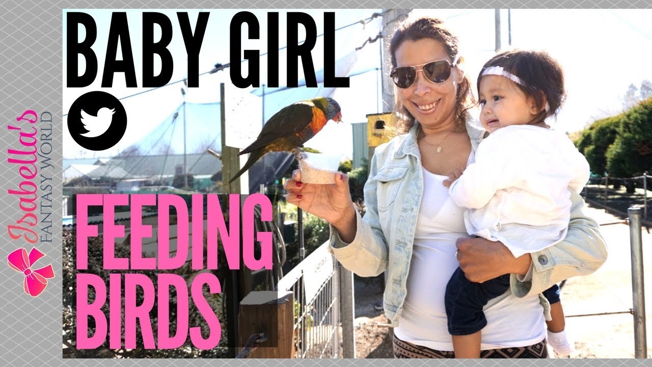 Baby girl feeding birds at Canberra walk in aviary | Baby sees birds ...