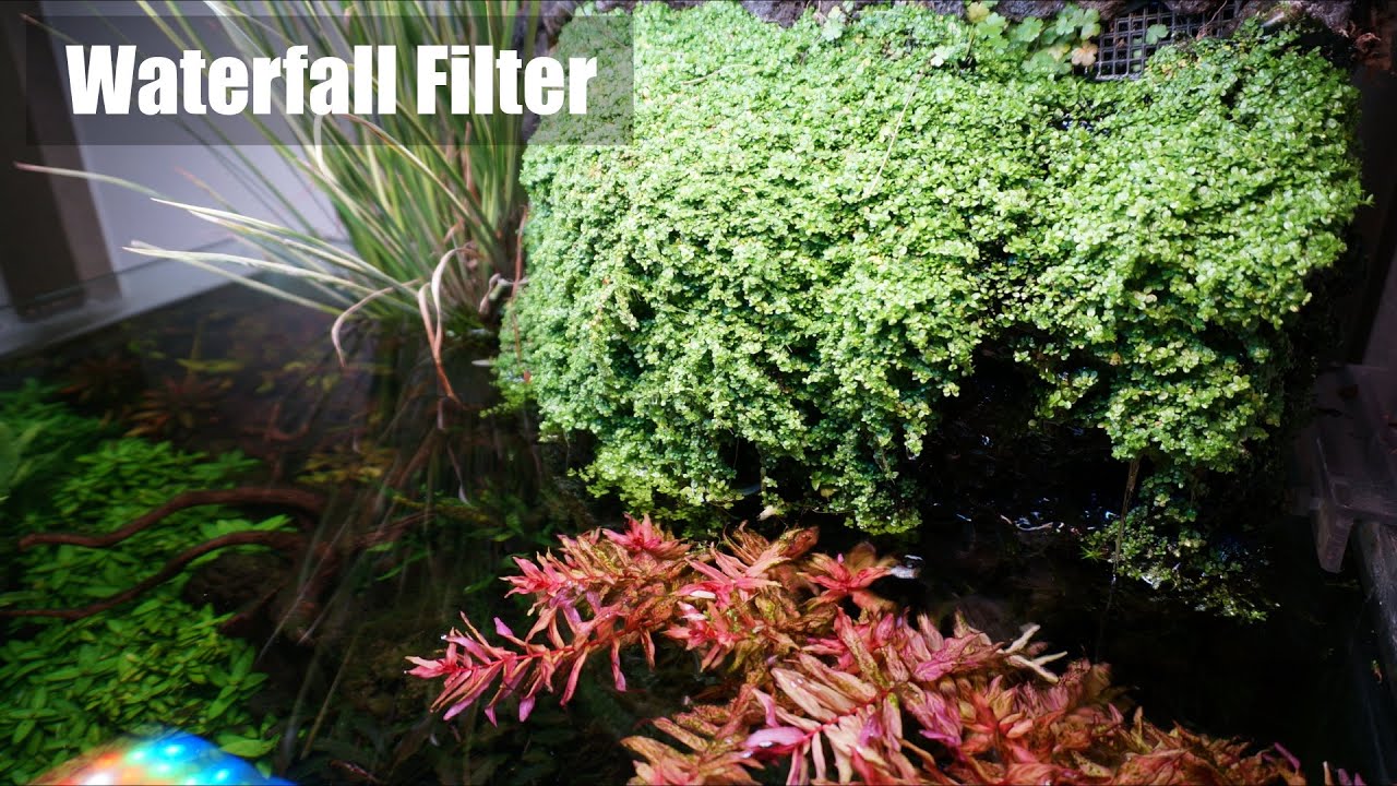 Planted Aquarium - Waterfall Internal Filter - YouTube