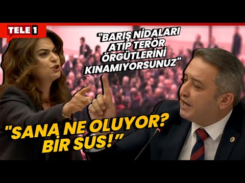 Meclis'te Büyük Kavga! Gülistan Koçyiğit, Gelecek Parti'ye AKP Sırasını Gösterdi: Sizi Oraya Alalım