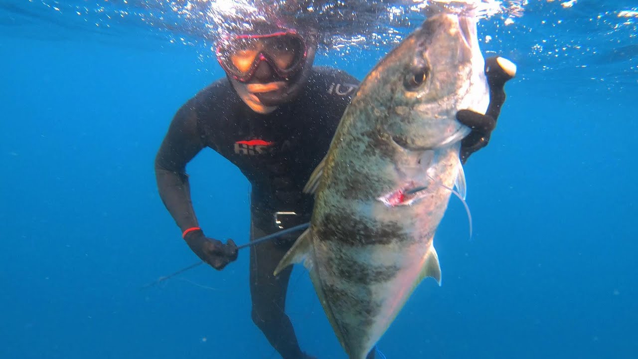 Spearfishing in Dumaguete - YouTube