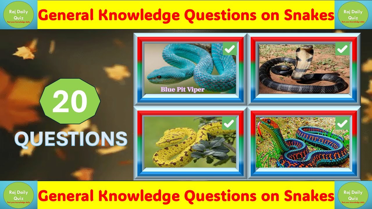 Do you know these about Snakes | 20 General Knowledge on Snakes Quiz ...