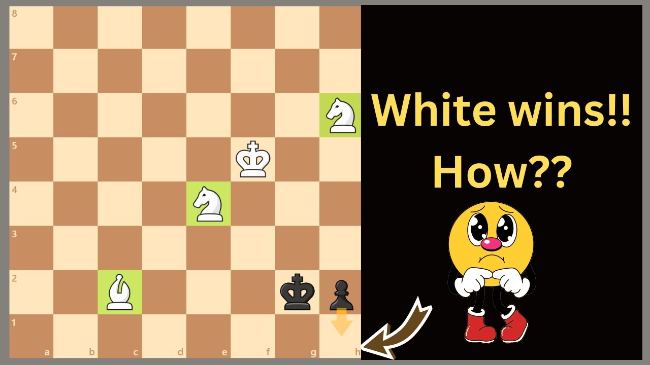 How to "win" with white here!! stunning chess final endgame!! - YouTube