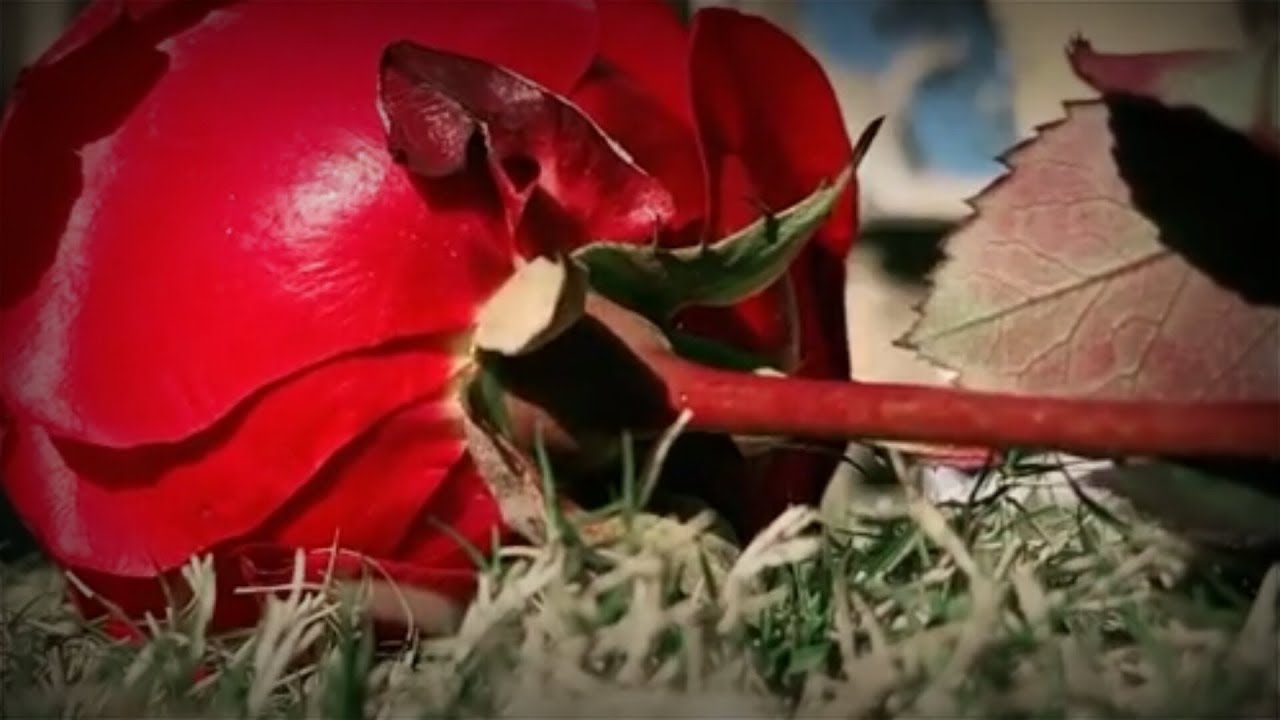 8xm Music Song Set Whatsapp Status 2020 - YouTube