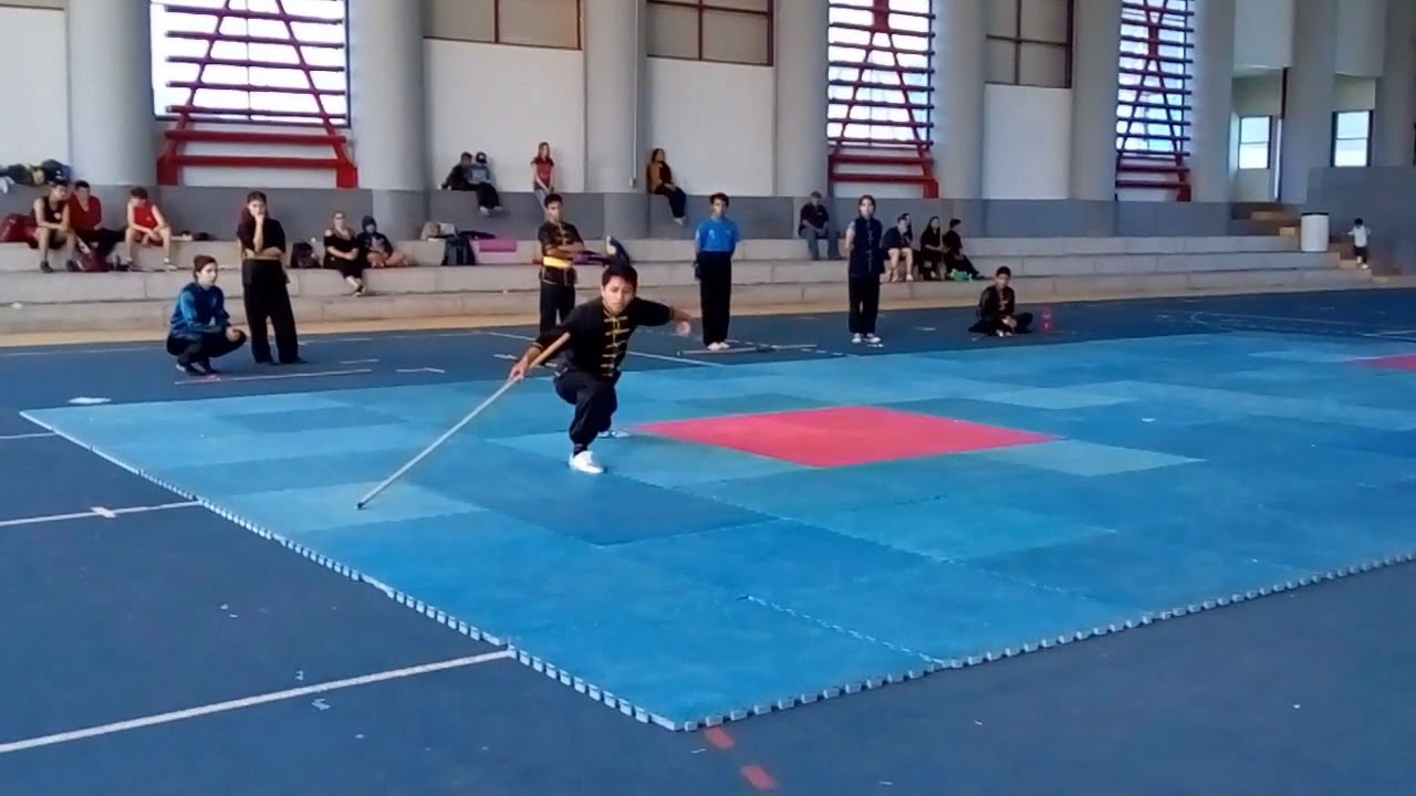 RUTINA DE ARTES MARCIALES CHINAS (KUNG FU) ESTILO NORTE DE 54 ...