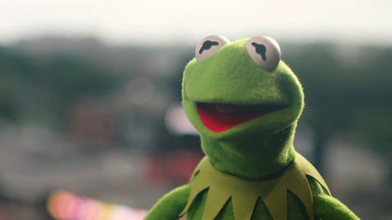 Kermit comes home: UMD commencement and NBC4 history | NBC4 Washington ...