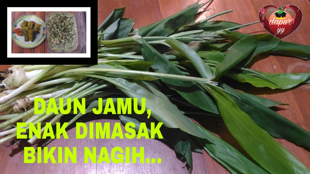 SAYUR DAUN LEMPUYANG,,,,KATA ANAKKU ENAAAK,,, - YouTube