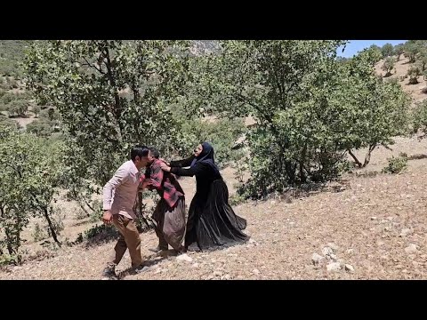 🤯⚡Breaking and shocking news! Has the lawyer lady finally been found? Strange reaction of the nomads