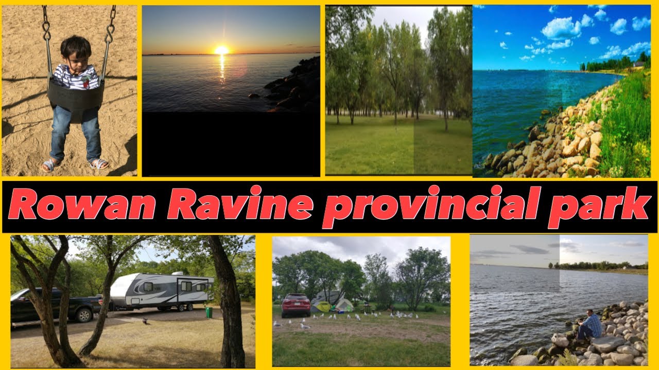Family time at Rowan Ravine lake | Rowan ravine provincial park ...