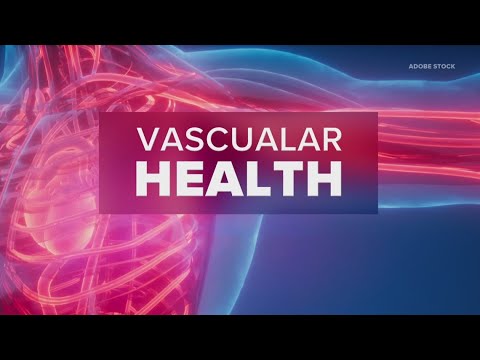 What You Need to Know About Vascular Health (Part 2) | 2 Your Well ...