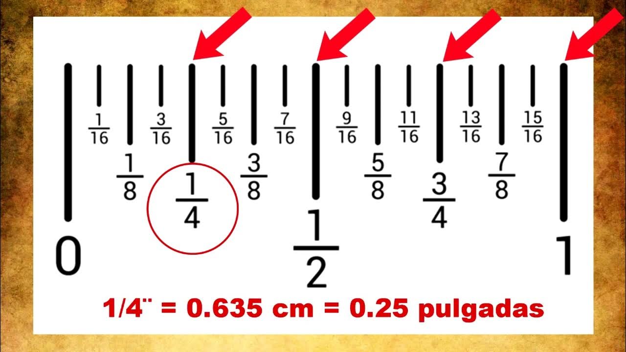 Qu Es Una Pulgada Cuales Son Las Partes En Que Se Divide YouTube qu-es-una-pulgada-cuales-son-las-partes-en-que-se-divide-youtube