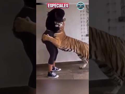 😭Animales y Dueños se Ven Después de Años. #nostalgia #lágrimas #animal #shorts #viral #amor #fiel