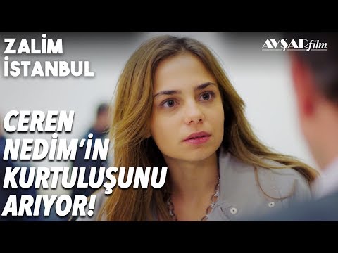 Ceren Ses Kaydının Peşinde👀 Gerçek Ortaya Çıkacak! - Zalim İstanbul 28. Bölüm
