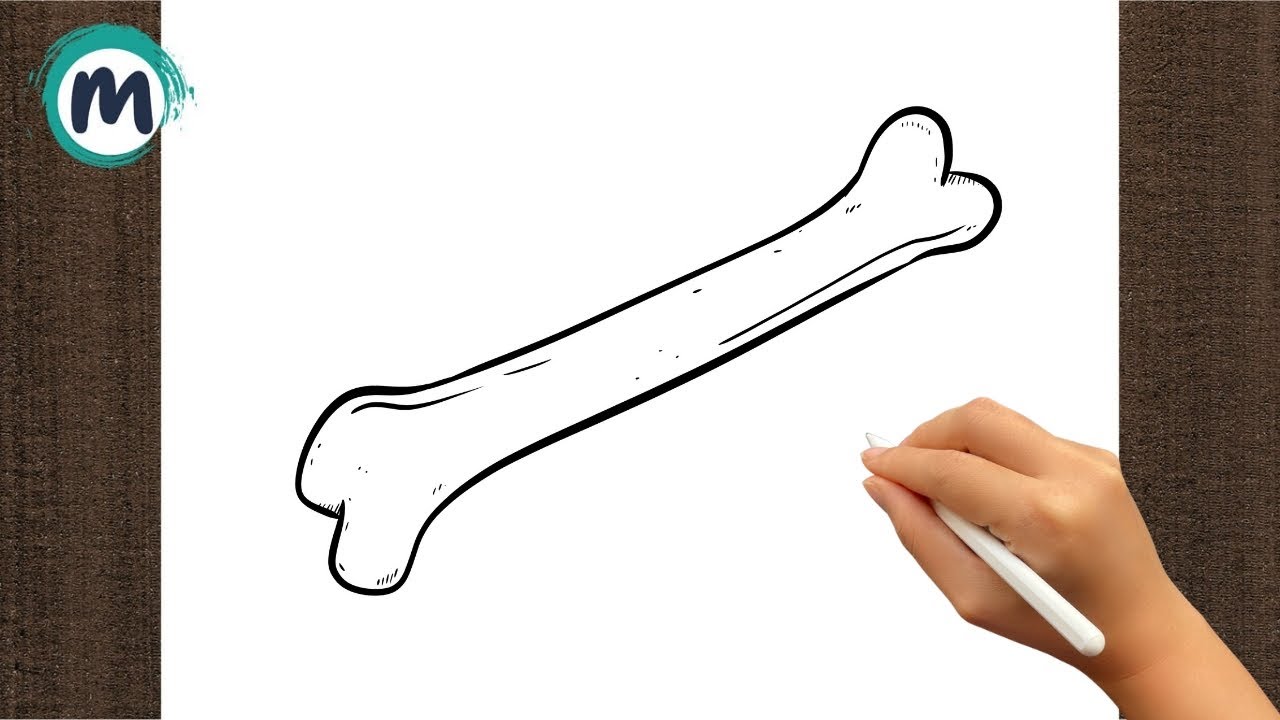 How to Draw Bone - YouTube