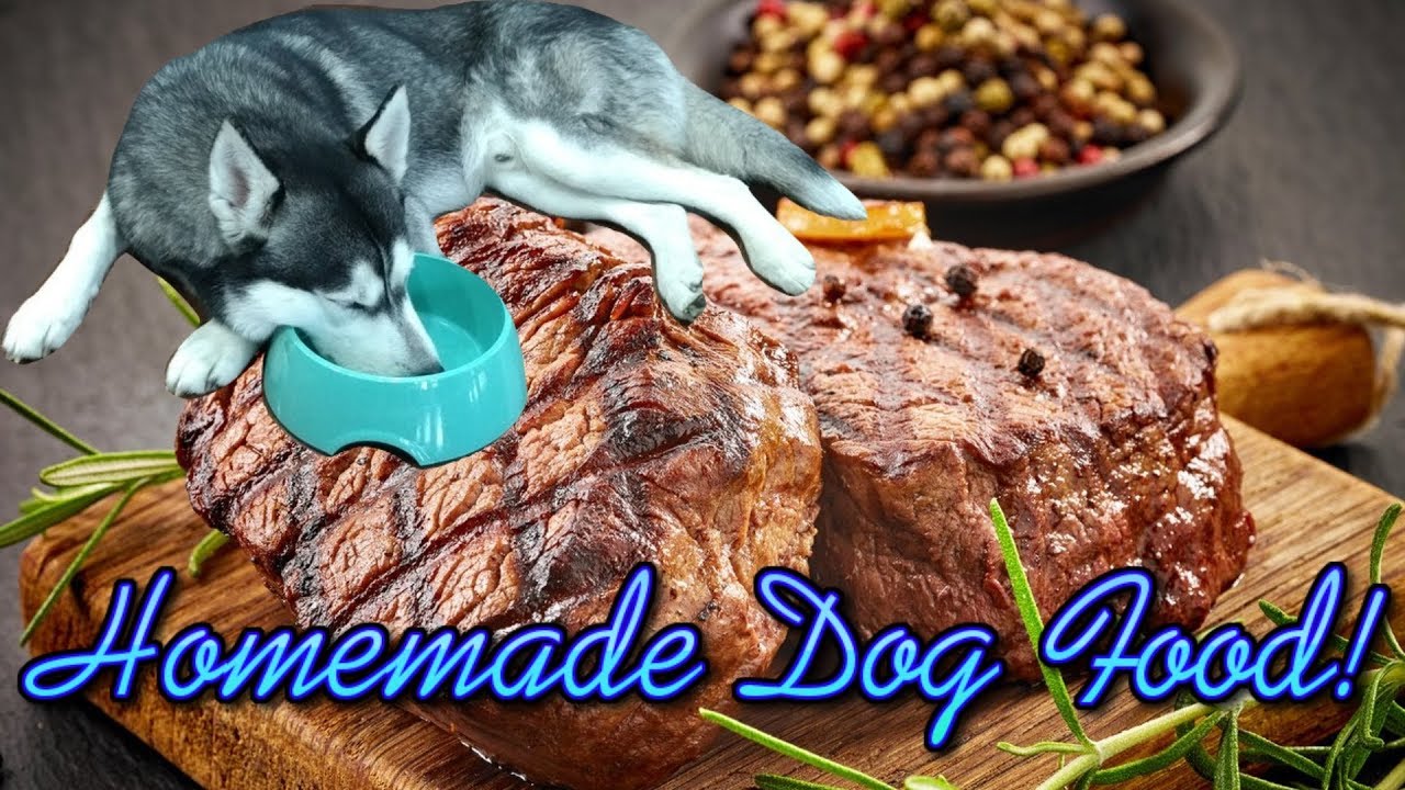 How I Make Dexter's Dog Food! - YouTube