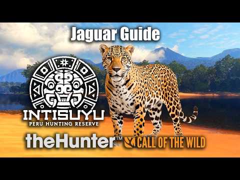 Jaguar Guide At Peru - Intisuyu - theHunter Call Of The Wild.
