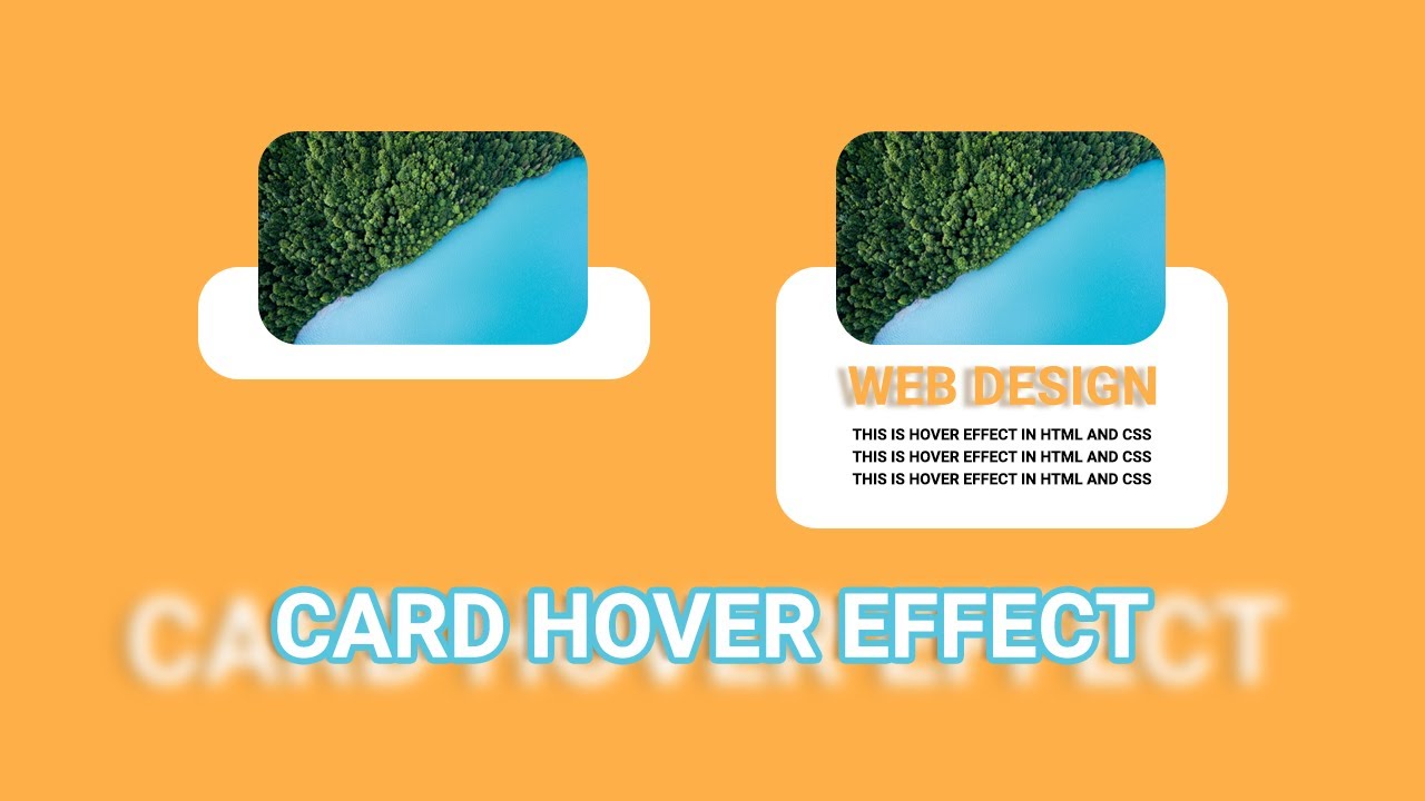 Card hover effect in Html and Css.Hiệu ứng chuyển thẻ trong html và css ...