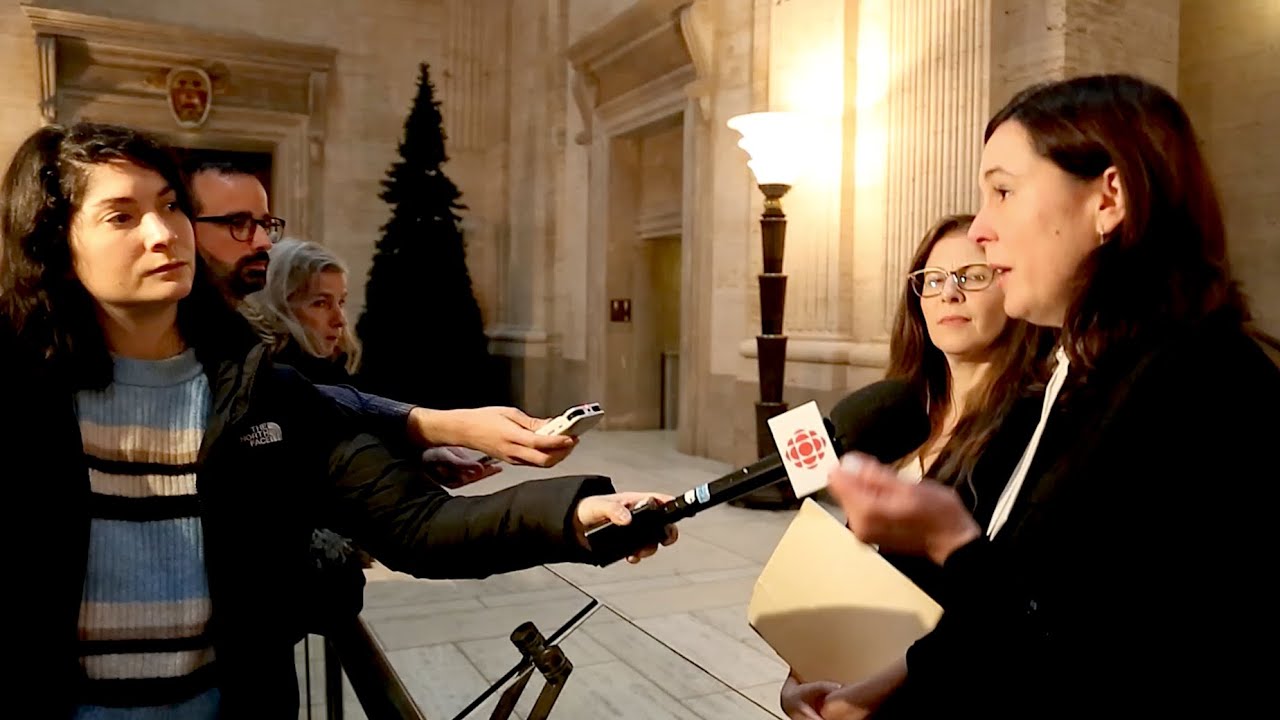 Me MARIE-CLAUDE ST-AMANT, à la "Cour d'appel du Québec", le 25 novembre ...