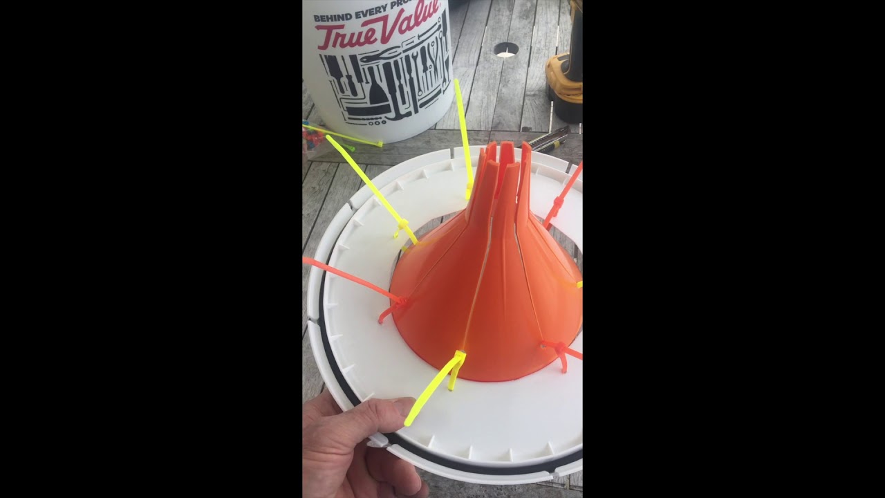 Lion Fish container 101 - YouTube