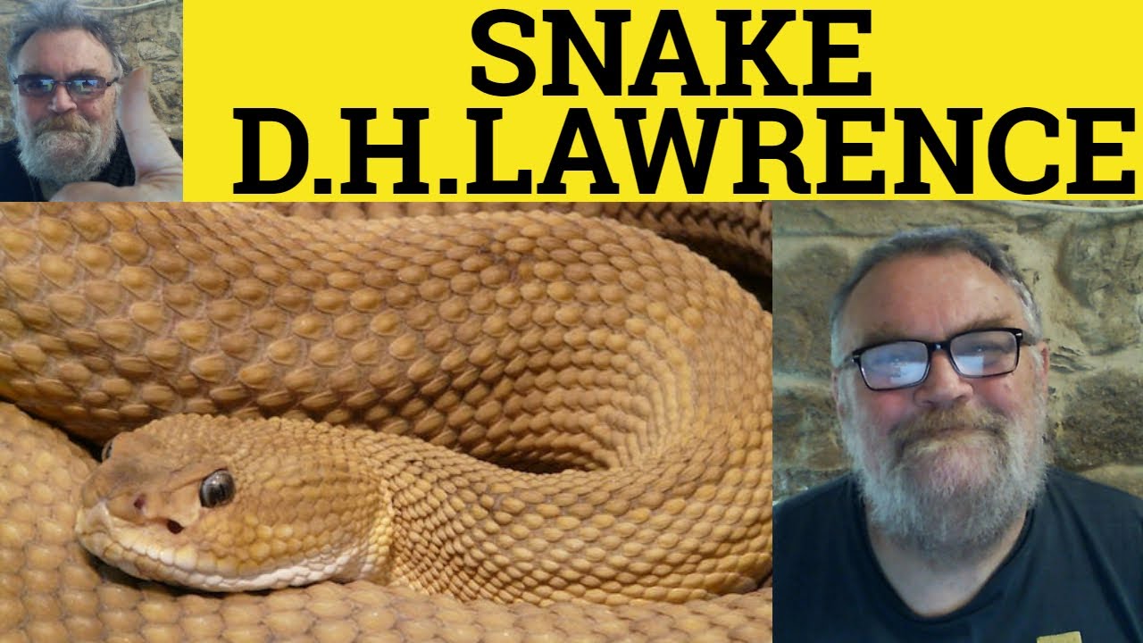 🔵 Snake Poem by D.H. Lawrence - Summary Analysis Reading - Snake by D.H ...