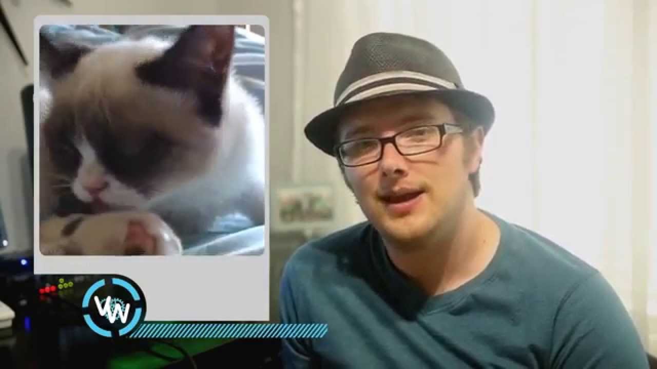 The Viral Mechanics of Grumpy Cat - YouTube
