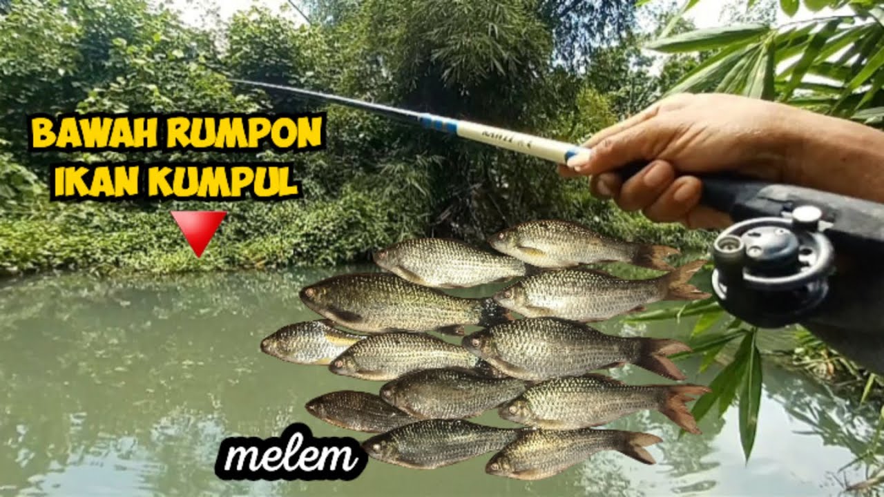 🟡Mancing dibawah rumpon ikan@TKM78 - YouTube
