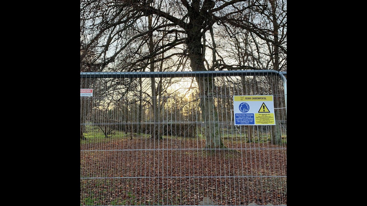 Tree Protection Fencing - what is it and why do I need it? - YouTube