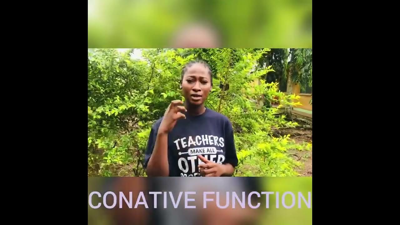 CONATIVE FUNCTION OF LANGUAGE - YouTube