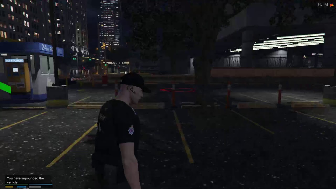 fivem northern life/ police officer rp - YouTube