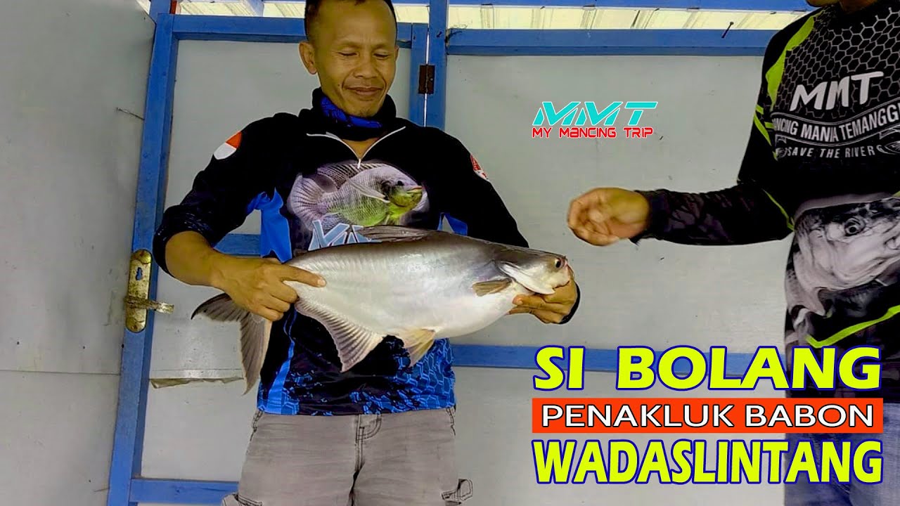 Si Bolang Penakluk Babon Wadaslintang - Mancing Ikan Patin Di Waduk ...
