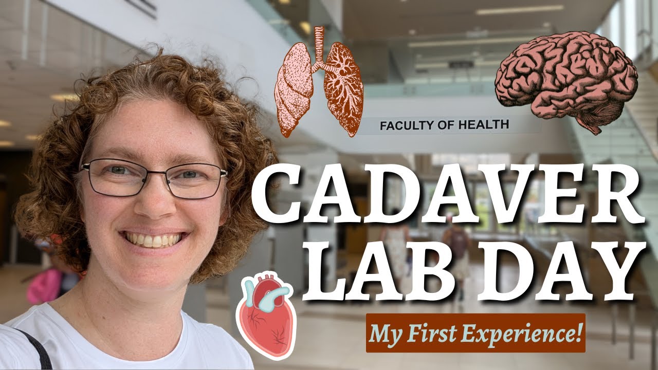 From Textbook to Real Life: My First Cadaver Lab Experience (HIGHLY ...